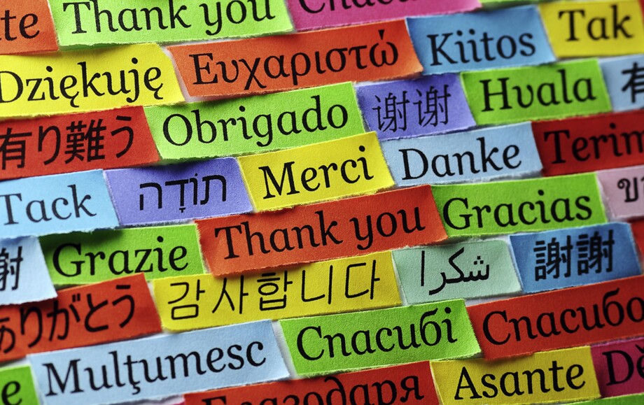 Modern Foreign Languages - Subjects - Harris Garrard Academy